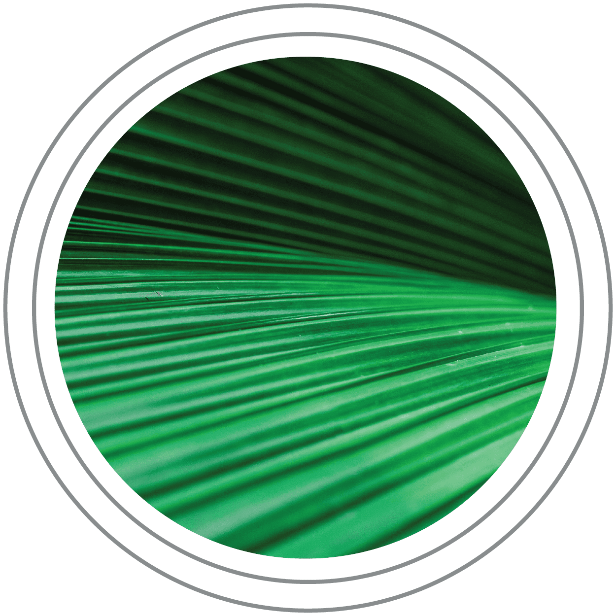 Our Approach to a more Sustainable Future | Kraton Corporation